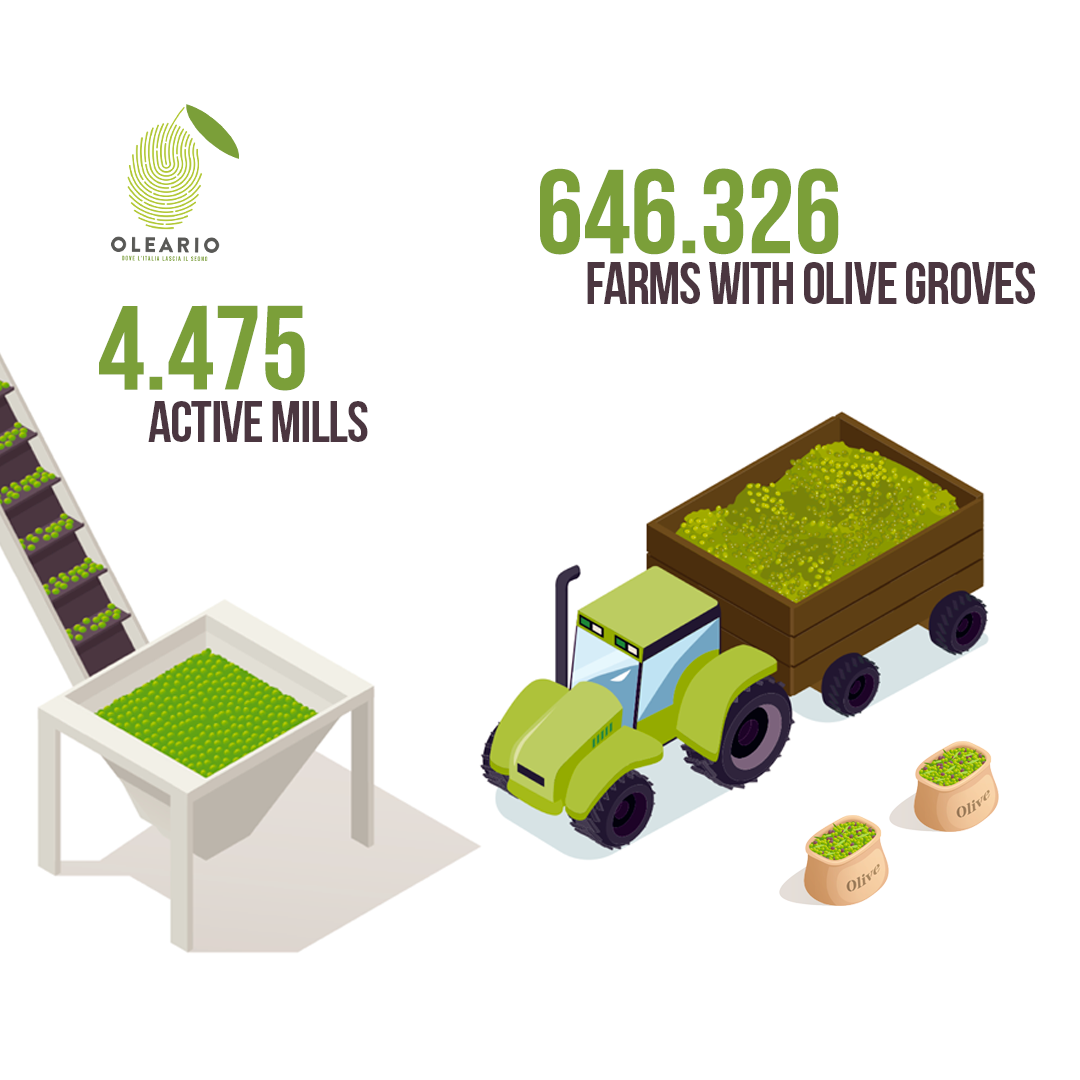 Domestic figures - Oleario