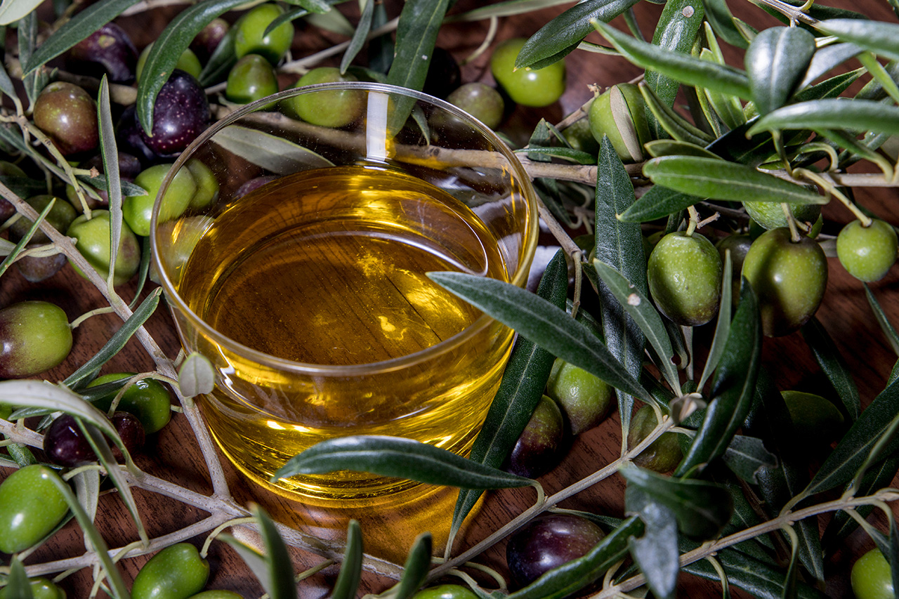 L’olio tra ricerca, cultura e salute - Oleario L’olio tra ricerca ...